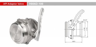 China Stainless Steel API Adoptor Valve-H806D-100 supplier